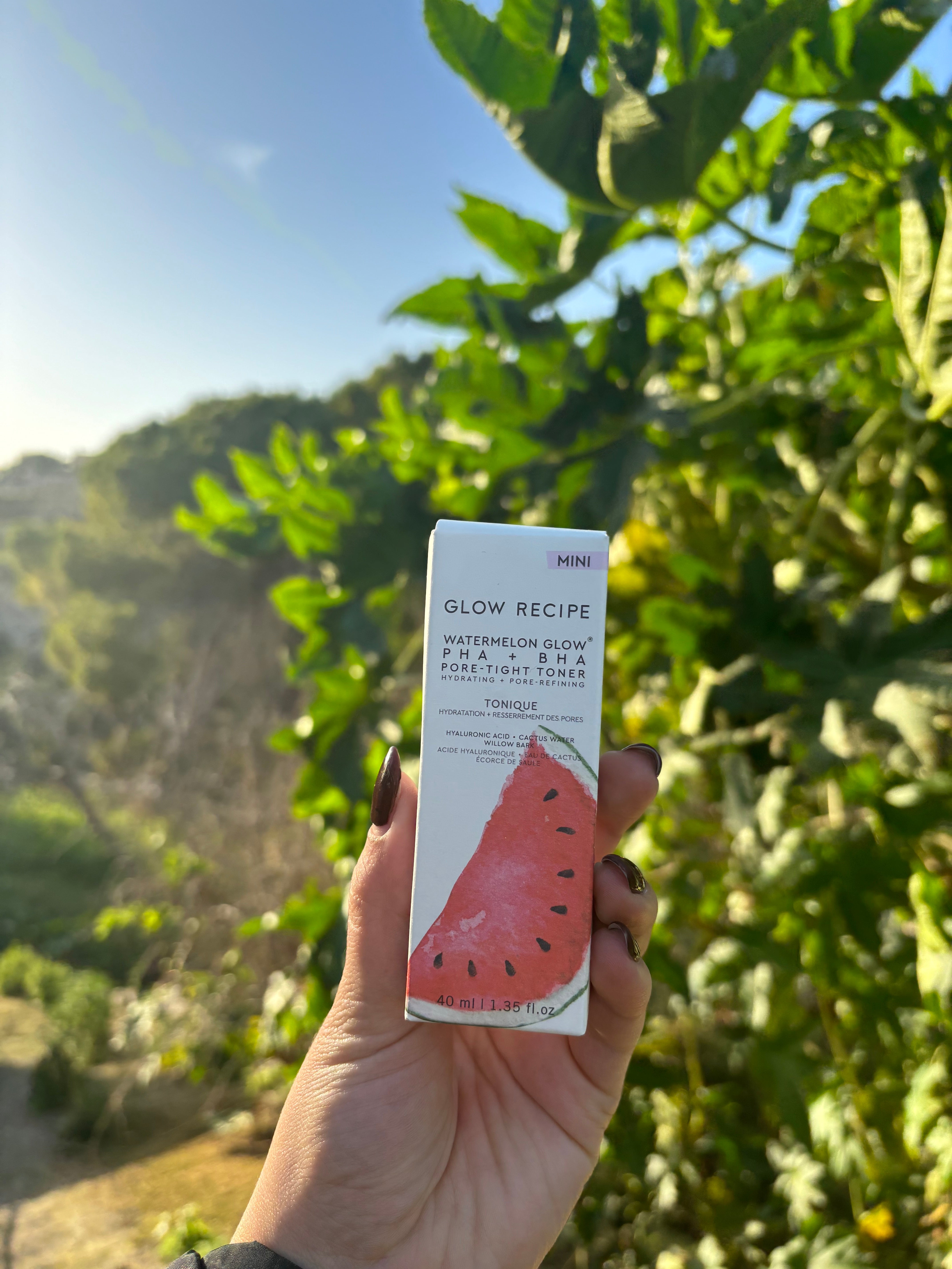 Glow Recipe Watermelon Glow PHA + BHA Pore-Tight Toner 40ml – SkinCare & Co